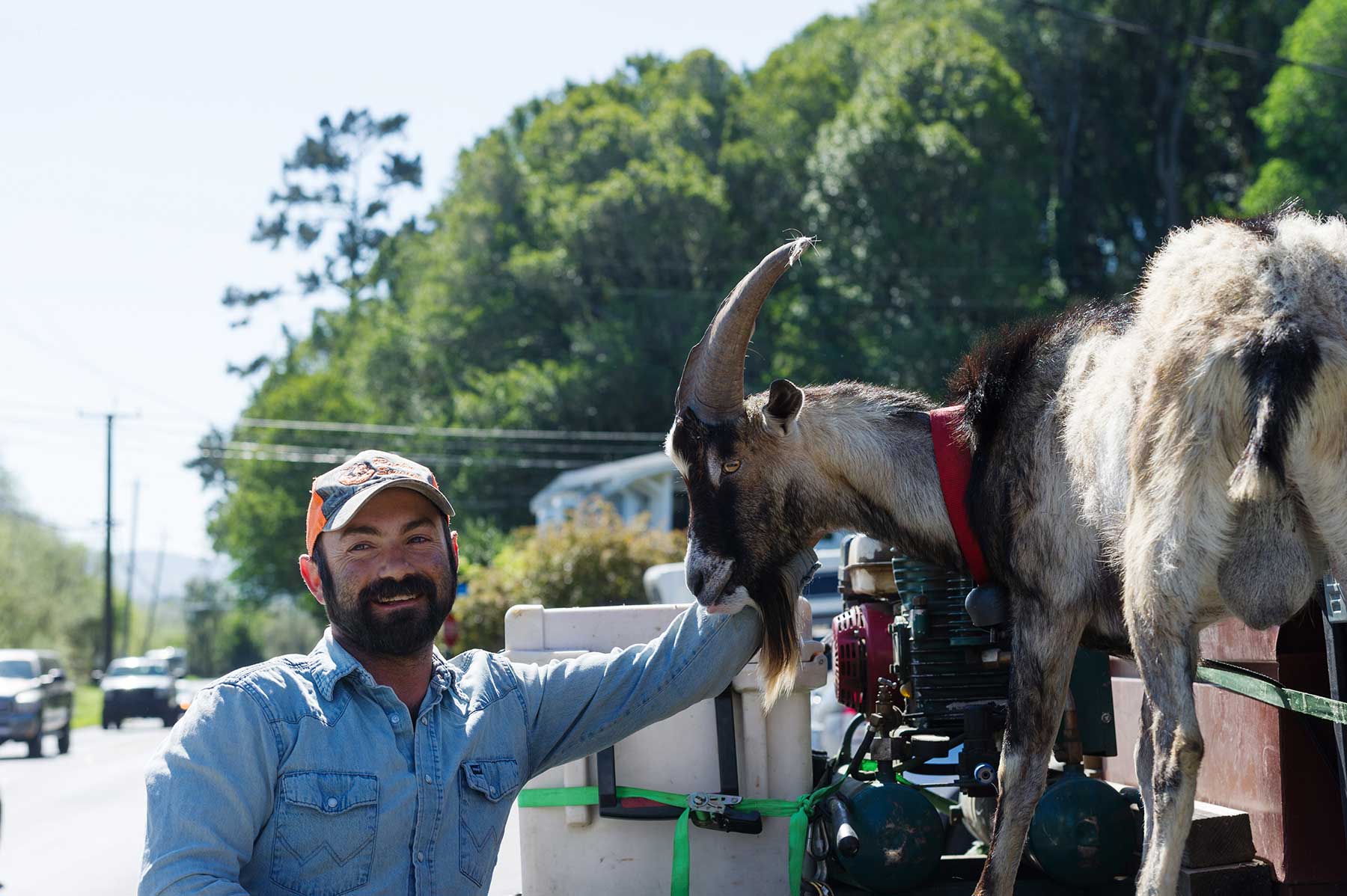 A man and his goat, Inverness Park, California – American Trails